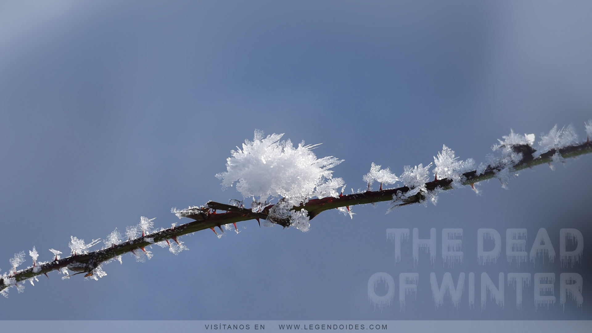 The Dead Of Winter Legendoides The Dead Of Winter Legendoides